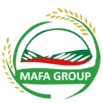 The Official Website of Mafa Group