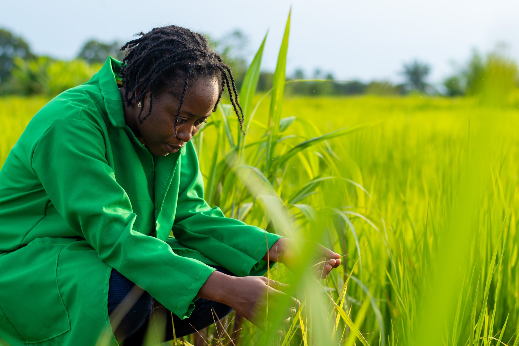 The Official Website of Mafa Group