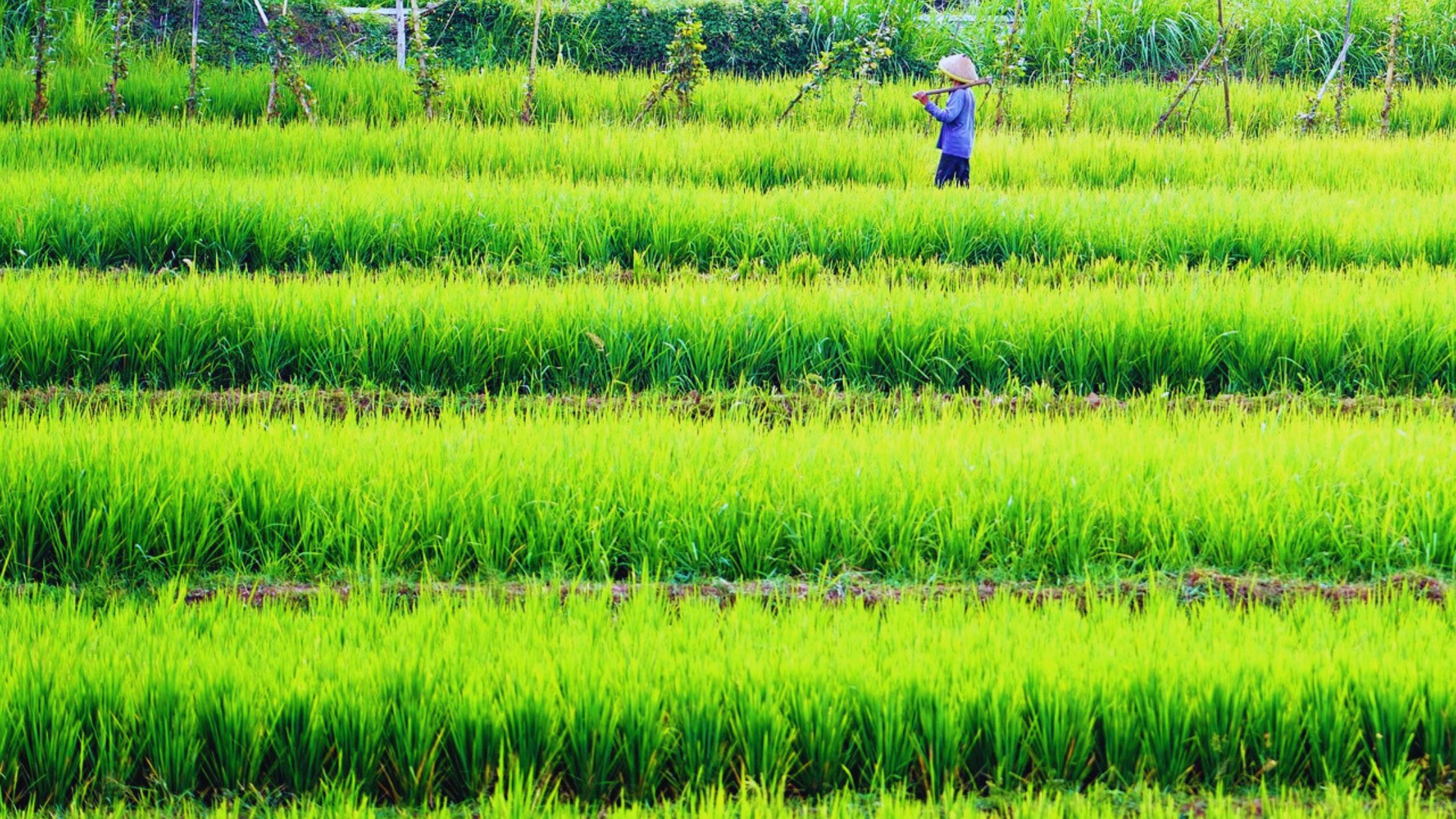 The Official Website of Mafa Group